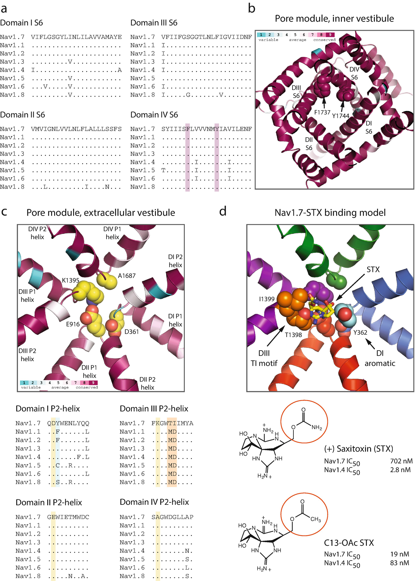 Selective Ligands and Drug Discovery Targeting the Voltage-Gated Sodium ...