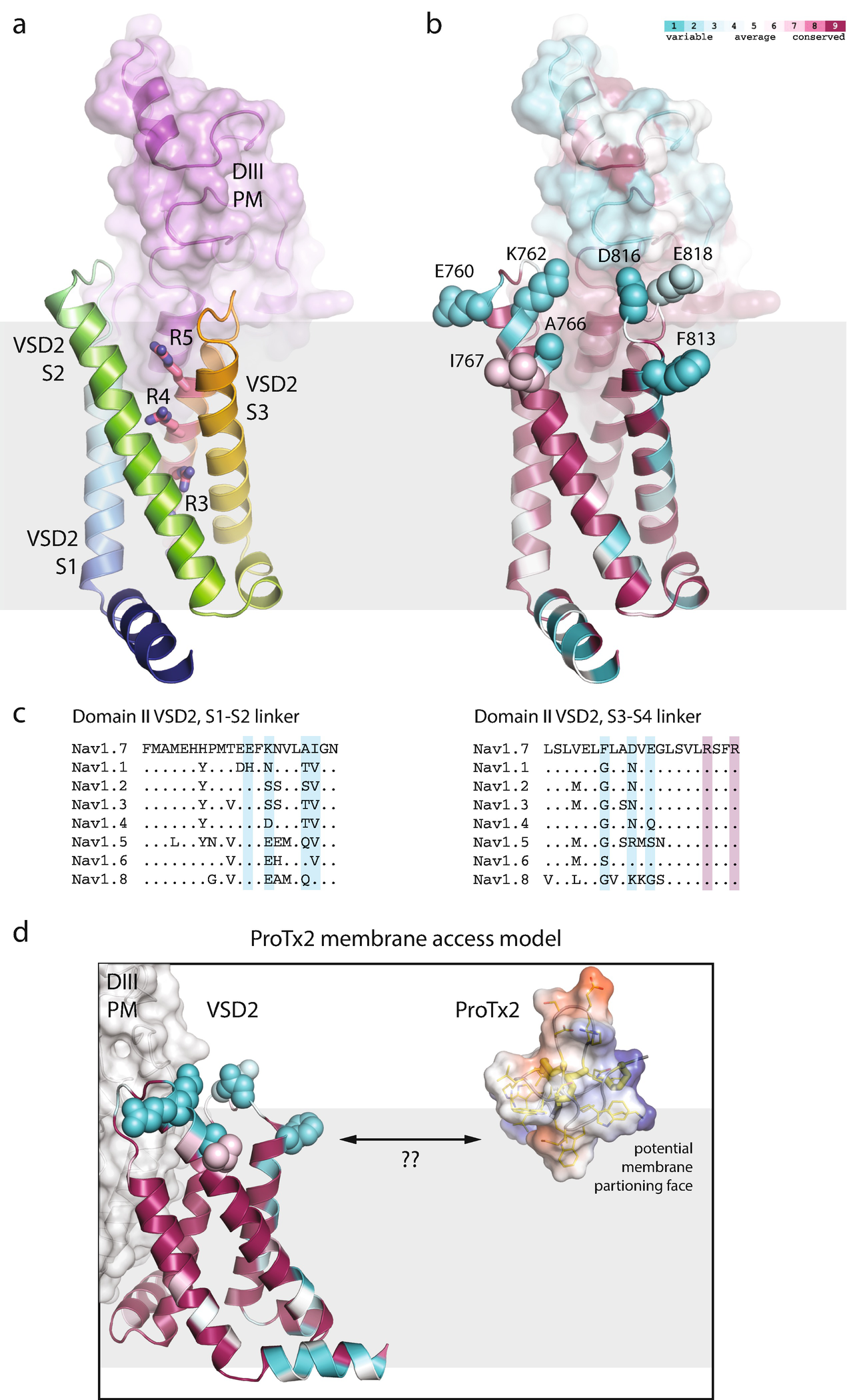 Selective Ligands and Drug Discovery Targeting the Voltage-Gated Sodium ...