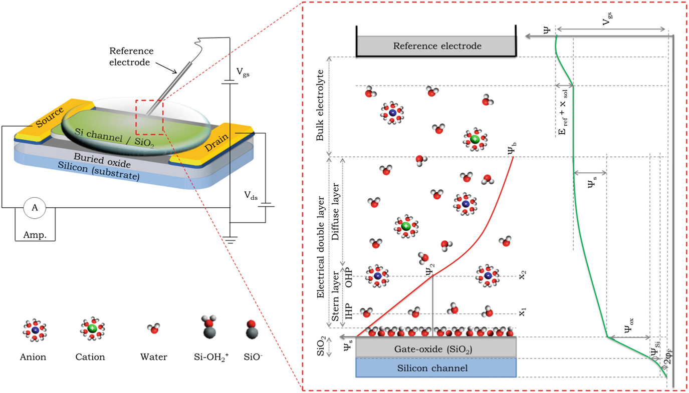 Silicon Nanowire Field-Effect Biosensors | SpringerLink