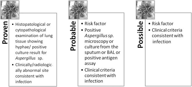 Diagnosis of Invasive Pulmonary Aspergillosis | SpringerLink