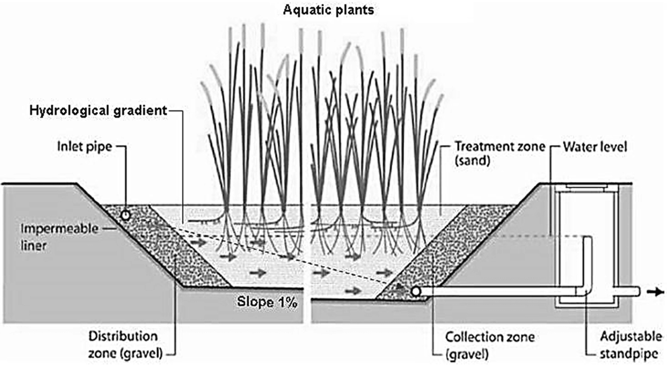 Constructed Wetlands: The Green Technology for Municipal Wastewater ...