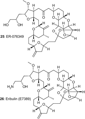 Story of Eribulin Mesylate: Development of the Longest Drug Synthesis ...