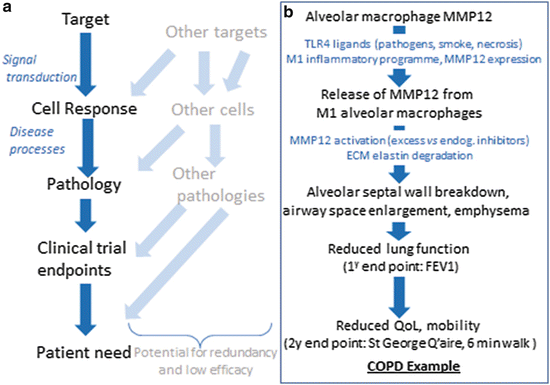 Target Selection and Validation in Drug Discovery | SpringerLink
