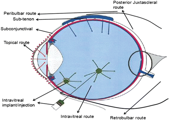 Compositions, Formulation, Pharmacology, Pharmacokinetics, and Toxicity ...