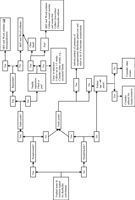 Bartholin Gland Cysts and Abscesses | SpringerLink