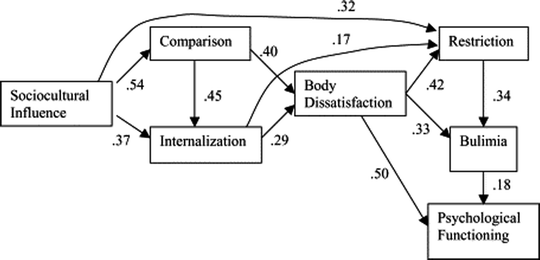 Factors Influencing Body Image During Adolescence | SpringerLink