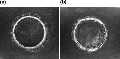 Crevice Corrosion and Pitting | SpringerLink
