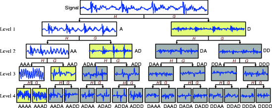 Wavelet Packet Transform Springerlink
