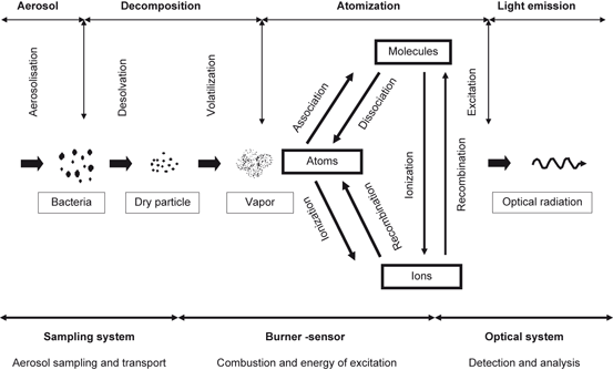 Bioaerosol Detection with Atomic Emission Spectroscopy | SpringerLink