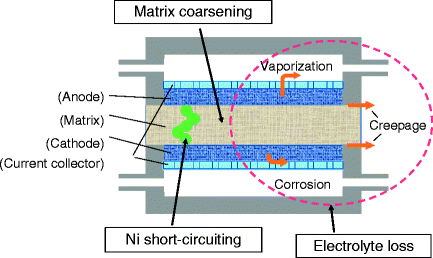 Molten Carbonate Fuel Cells | SpringerLink