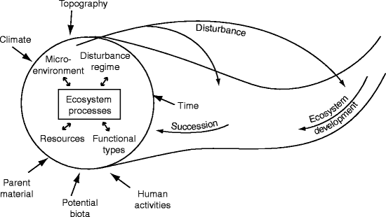 The Ecosystem Concept | SpringerLink