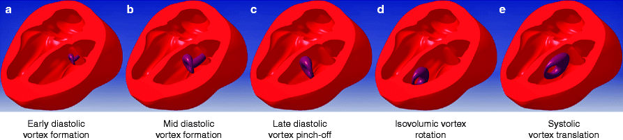 Vortex Formation in the Heart | SpringerLink