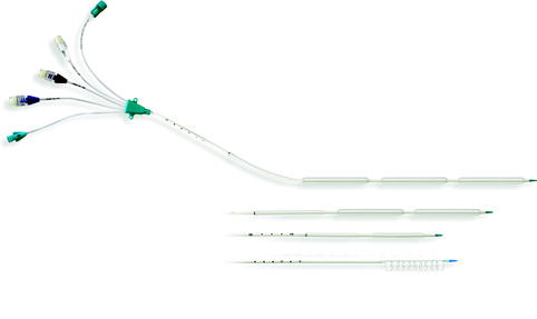 Hypothermia: How to Cool | SpringerLink