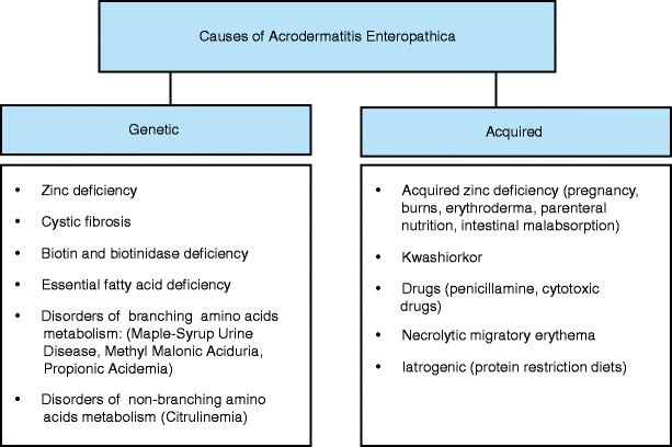 Acrodermatitis Enteropathica Like Eruption | SpringerLink