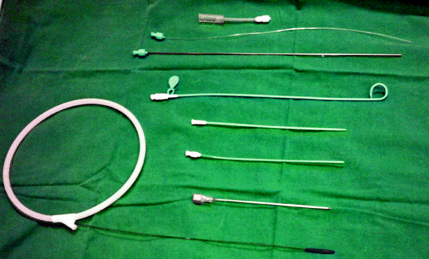 Percutaneous Nephrostomy, Antegrade Stent Placement, and Radiological ...