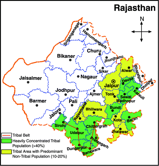 The Majestic Rajasthan: An Introduction | SpringerLink