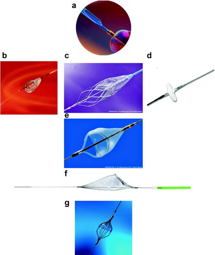 Embolic Protection Devices | SpringerLink
