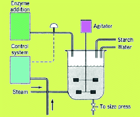 Enzymatic Modification of Starch for Surface Sizing | SpringerLink