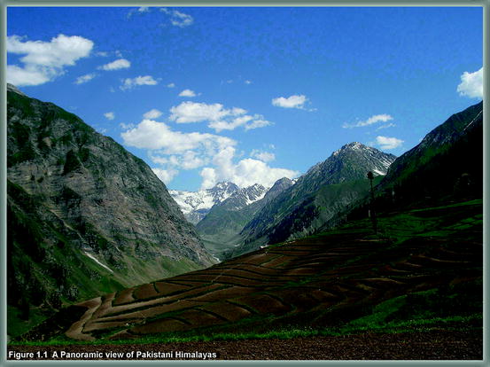 Introduction: Lesser Himalayas—Pakistan and Medicinal Plant Wealth ...