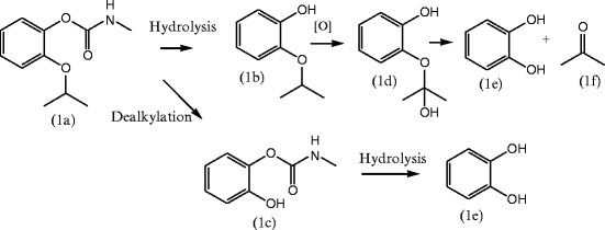 Propoxur: A Novel Mechanism for Insecticidal Action and Toxicity ...