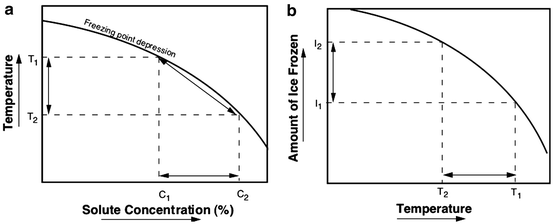 Ice Cream Structure | SpringerLink
