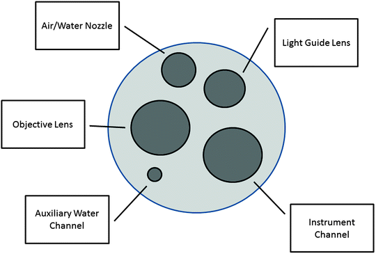 Basic Components of Flexible Endoscopes | SpringerLink