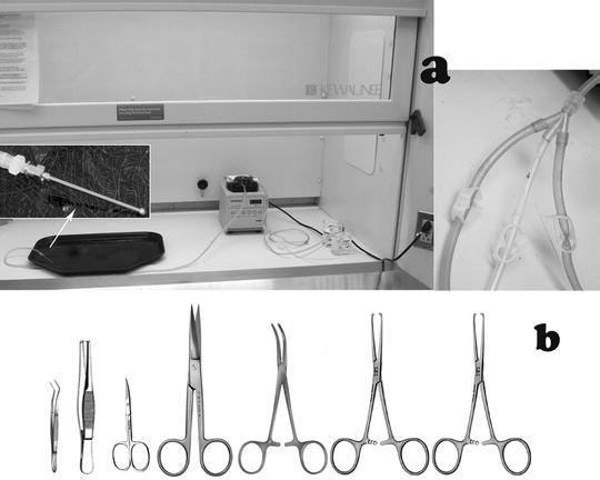 Brain Tissue Preparation, Sectioning, and Staining | SpringerLink