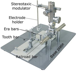 Brain Stereotaxic Injection | SpringerLink