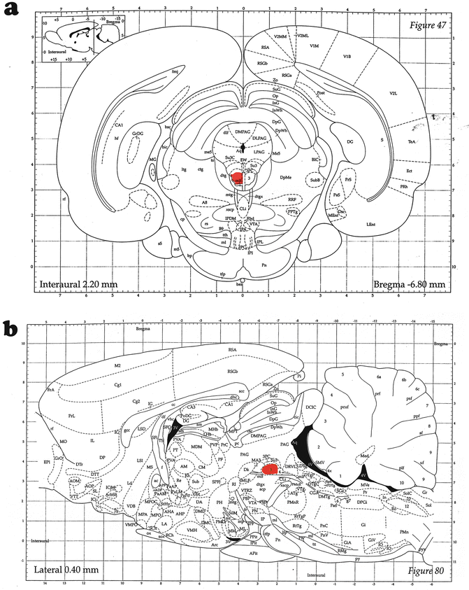 Brain Stereotaxic Injection | SpringerLink