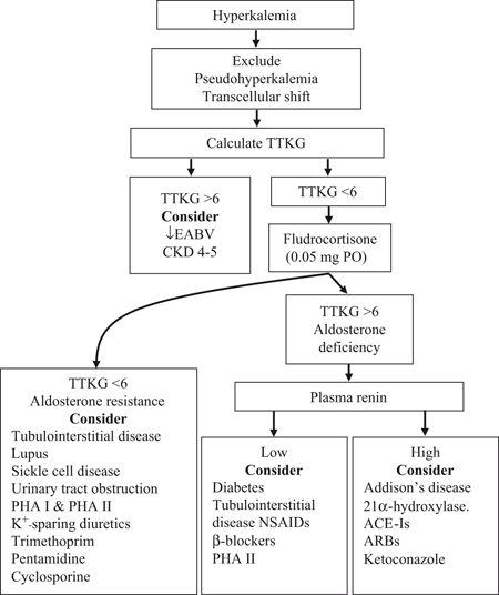 Disorders of Potassium: Hyperkalemia | SpringerLink