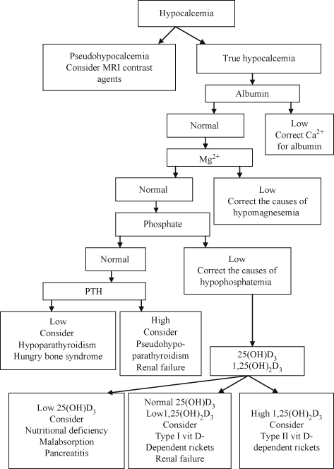 Disorders of Calcium: Hypocalcemia | SpringerLink