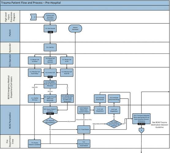 Process Mapping of a Regional Trauma System | SpringerLink