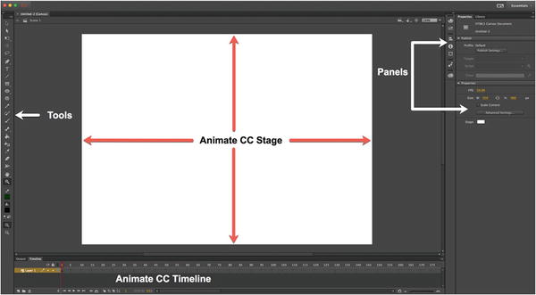 Learning the Animate CC Interface | SpringerLink