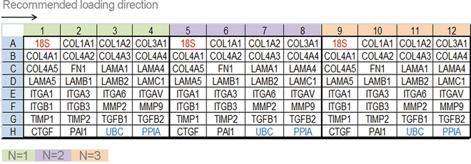 SYBR® Green and TaqMan® Quantitative PCR Arrays: Expression Profile of ...