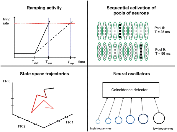 Neurocomputational Models of Time Perception | SpringerLink