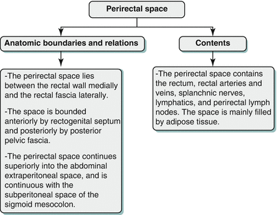 The Extraperitoneal Spaces | SpringerLink