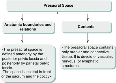 The Extraperitoneal Spaces | SpringerLink