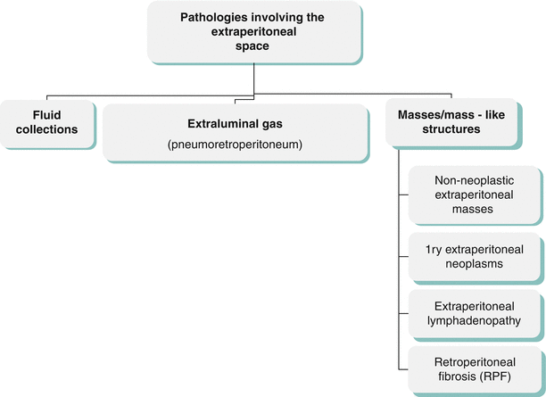The Extraperitoneal Spaces | SpringerLink