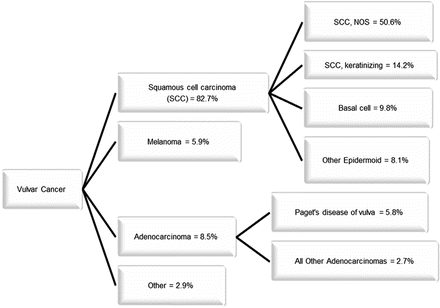 Cancer of the Vulva and Vagina | SpringerLink