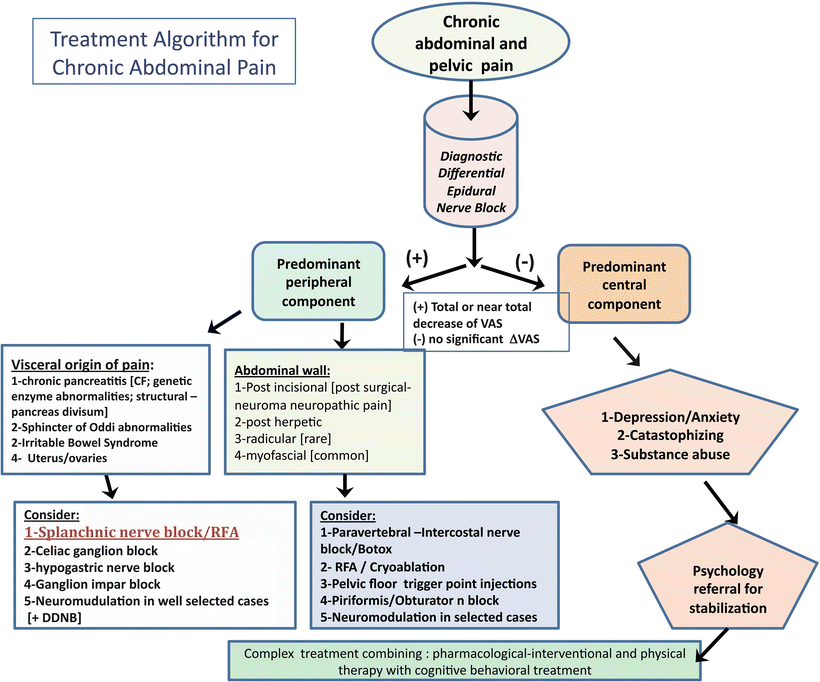 Establishing Diagnosis of Chronic Abdominal Pain: Pain Medicine view ...
