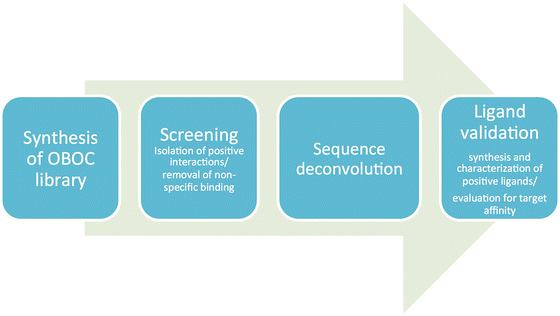 Synthesis and Cell-Based Screening of One-Bead-One-Compound Peptide ...