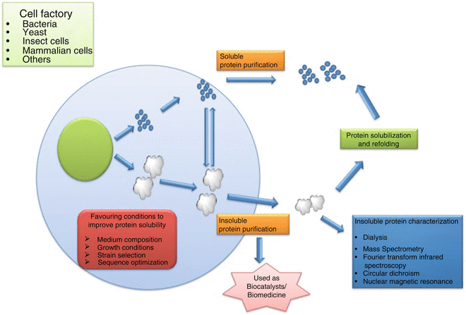 General Introduction: Recombinant Protein Production and Purification ...