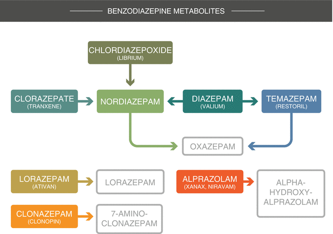 Urine Toxicology Screen | SpringerLink