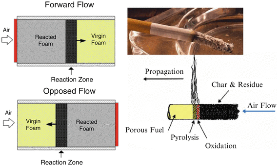 Smoldering Combustion | SpringerLink