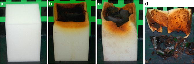 Smoldering Combustion | SpringerLink