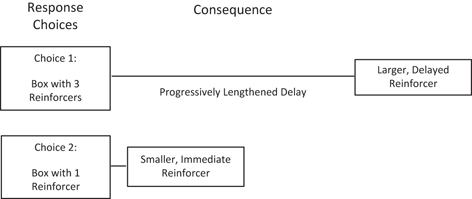 Delayed Reinforcement and Self-Control: Increasing Tolerance for Delay ...
