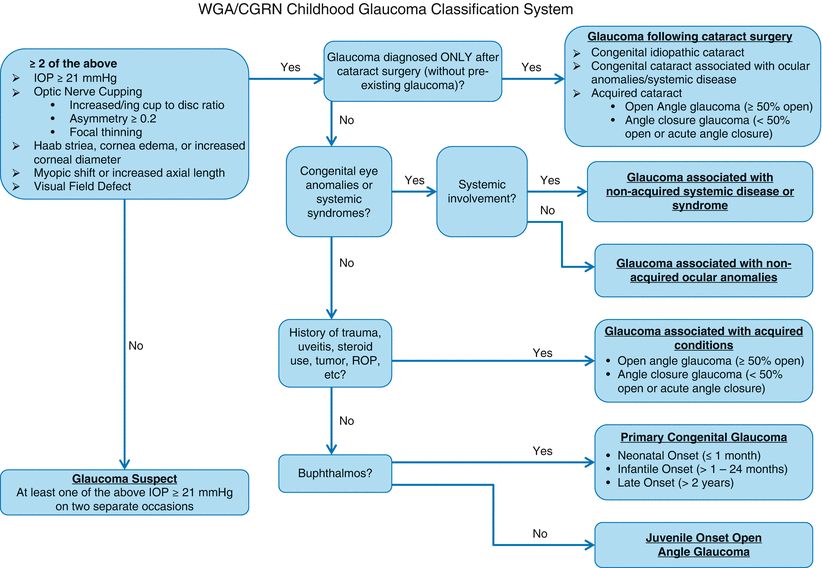 Childhood Glaucoma | SpringerLink