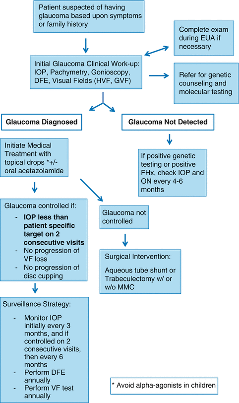 Diagnosis and Management of Juvenile Open-Angle Glaucoma | SpringerLink