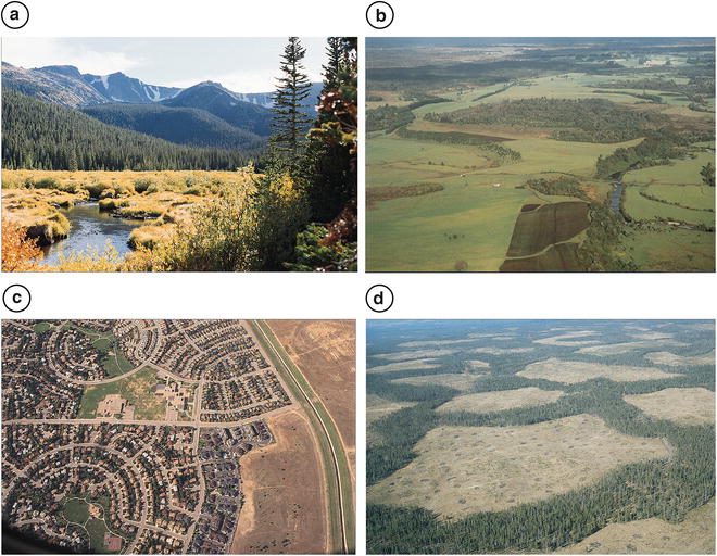 Introduction to Landscape Ecology and Scale | SpringerLink