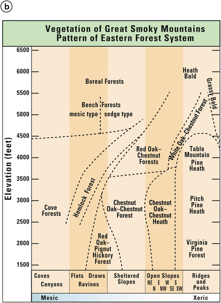 Introduction to Landscape Ecology and Scale | SpringerLink